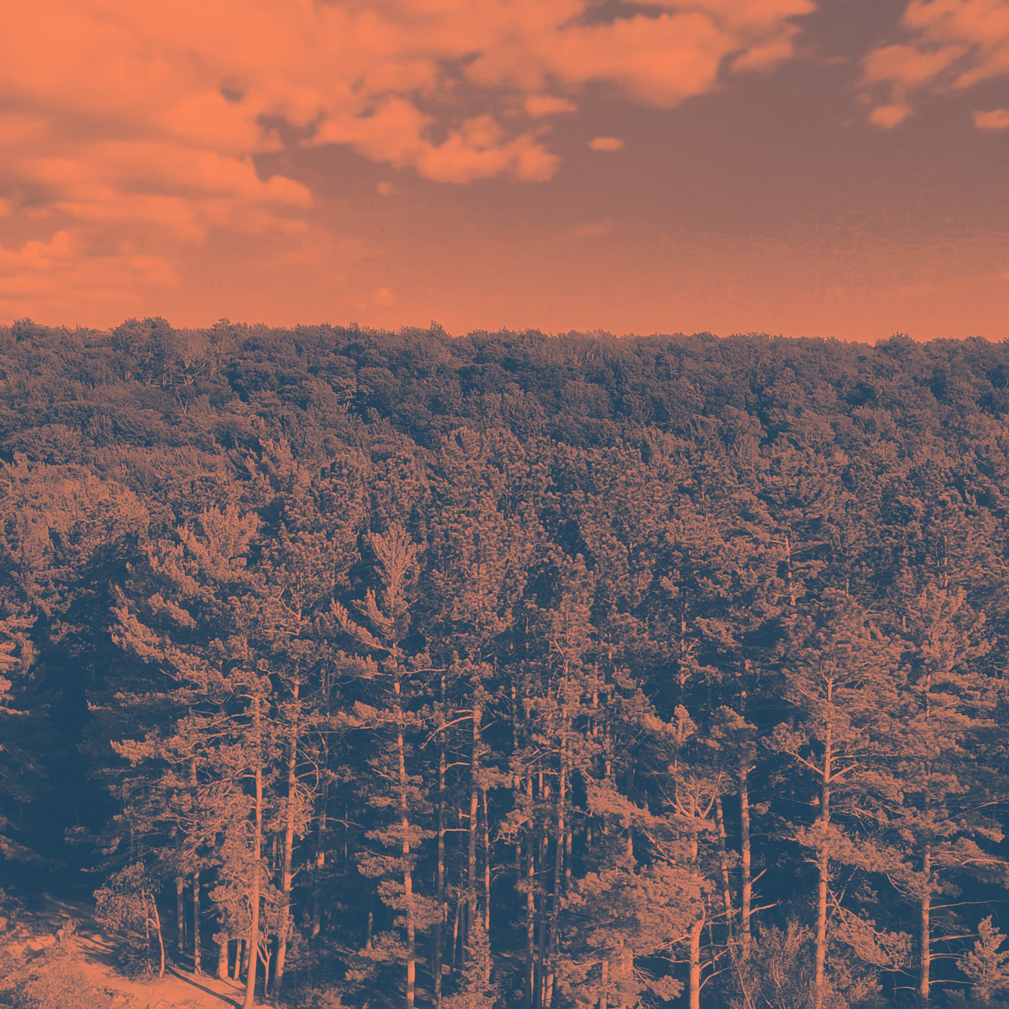 Pictured Rocks Giving Still | Shift Worship