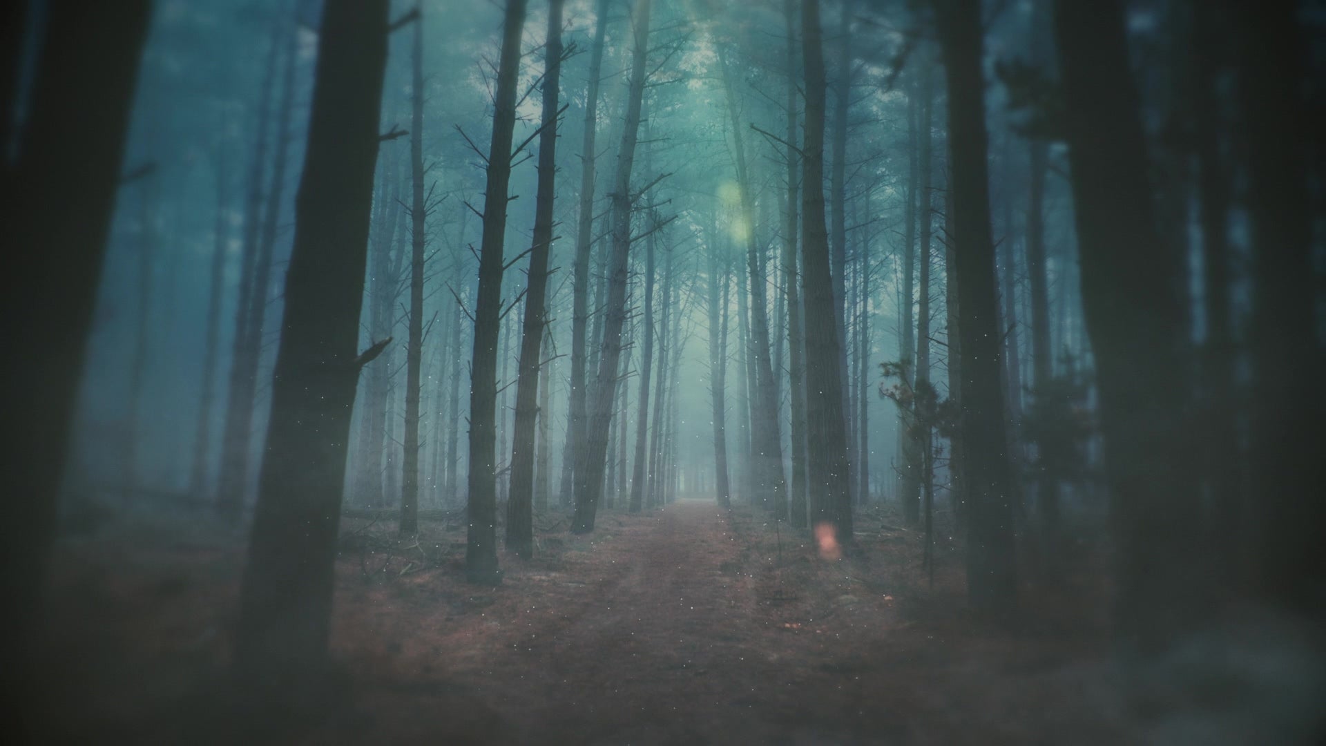 Moody Autumn Path Still | Shift Worship