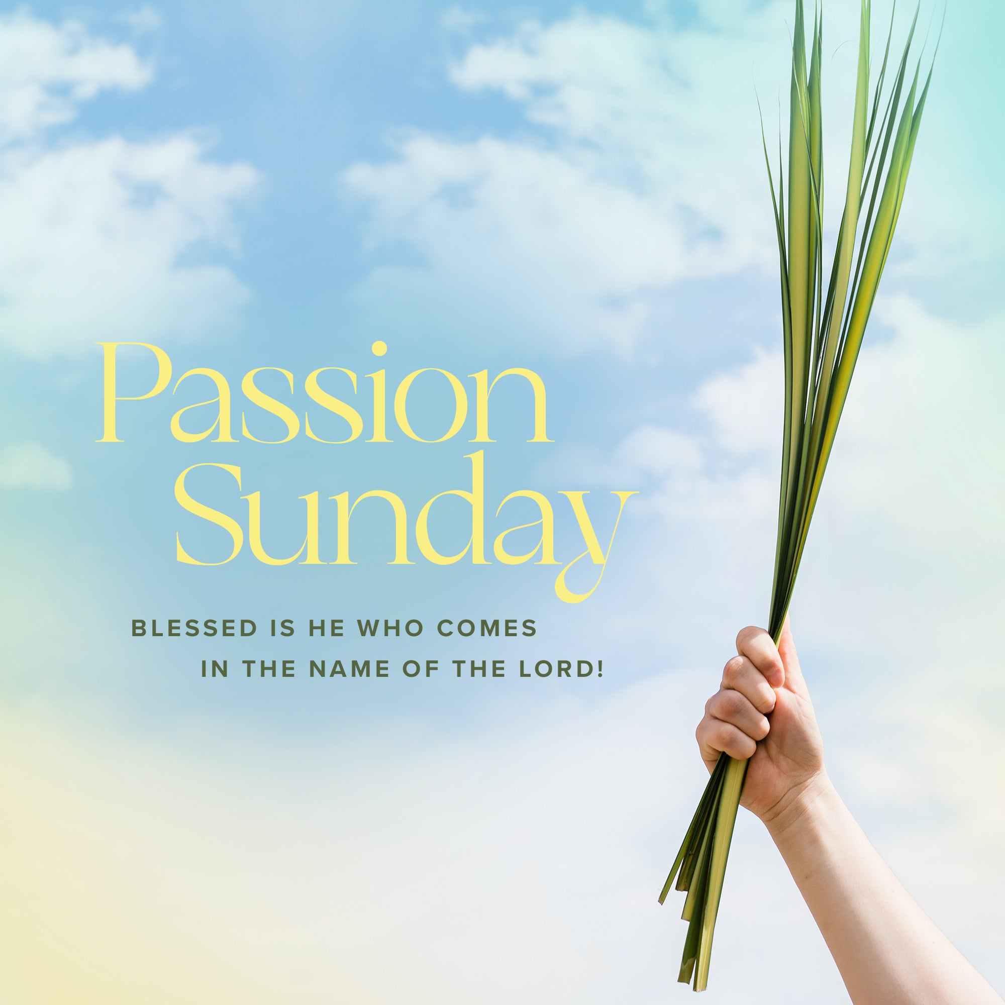Palm Passion Sunday Still | Shift Worship