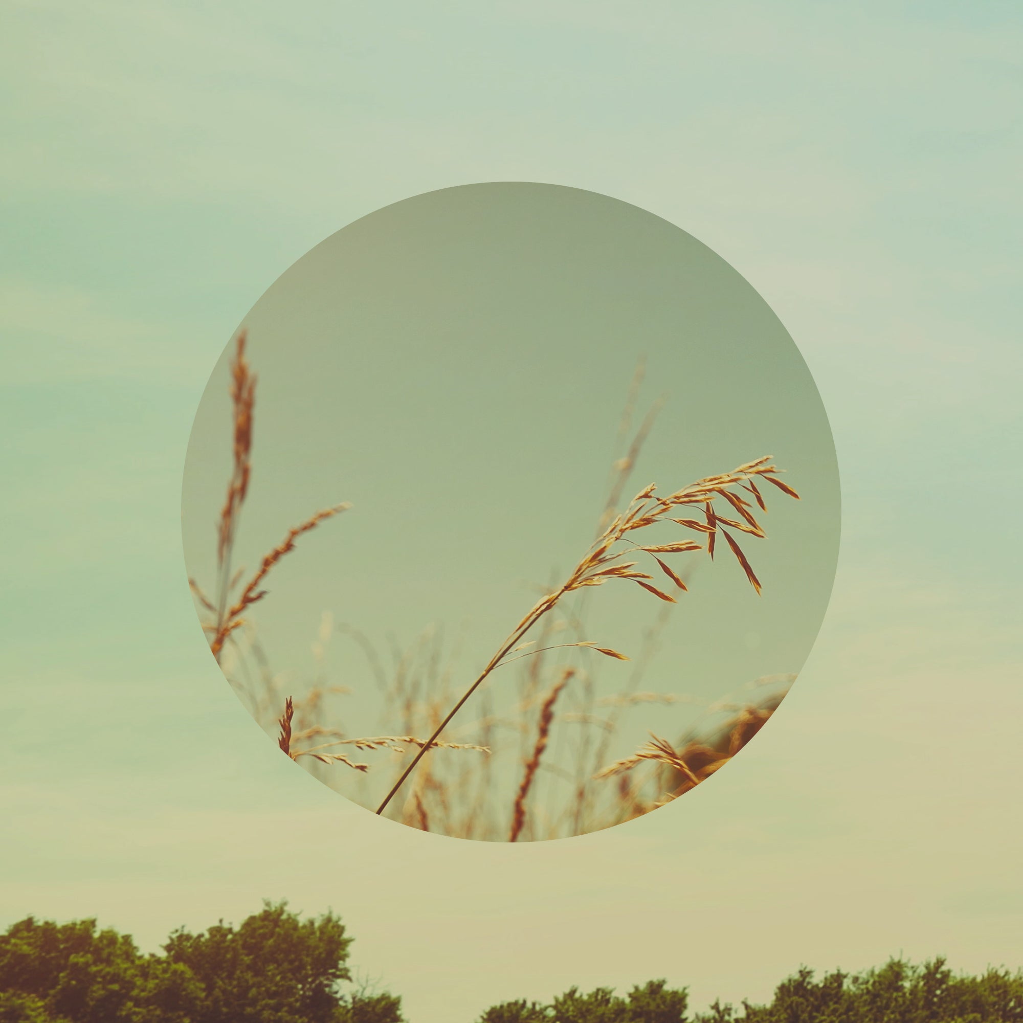 Peace On Earth - Spread The Good News Still | Shift Worship
