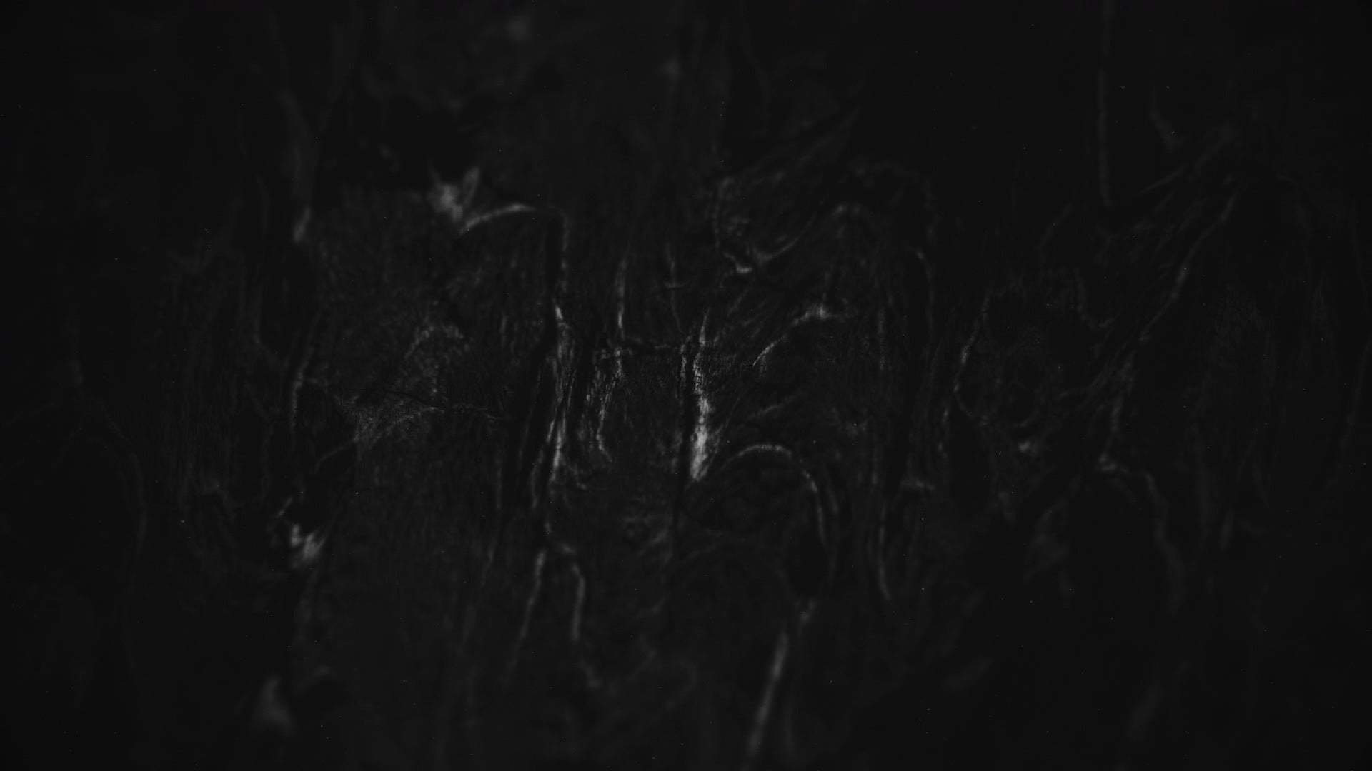 Dark Distortion 7 Still | Shift Worship