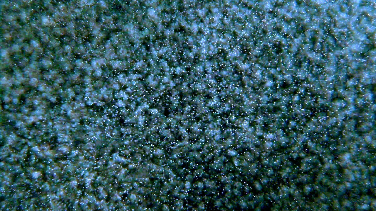 Blue Stars 2 Still | Shift Worship