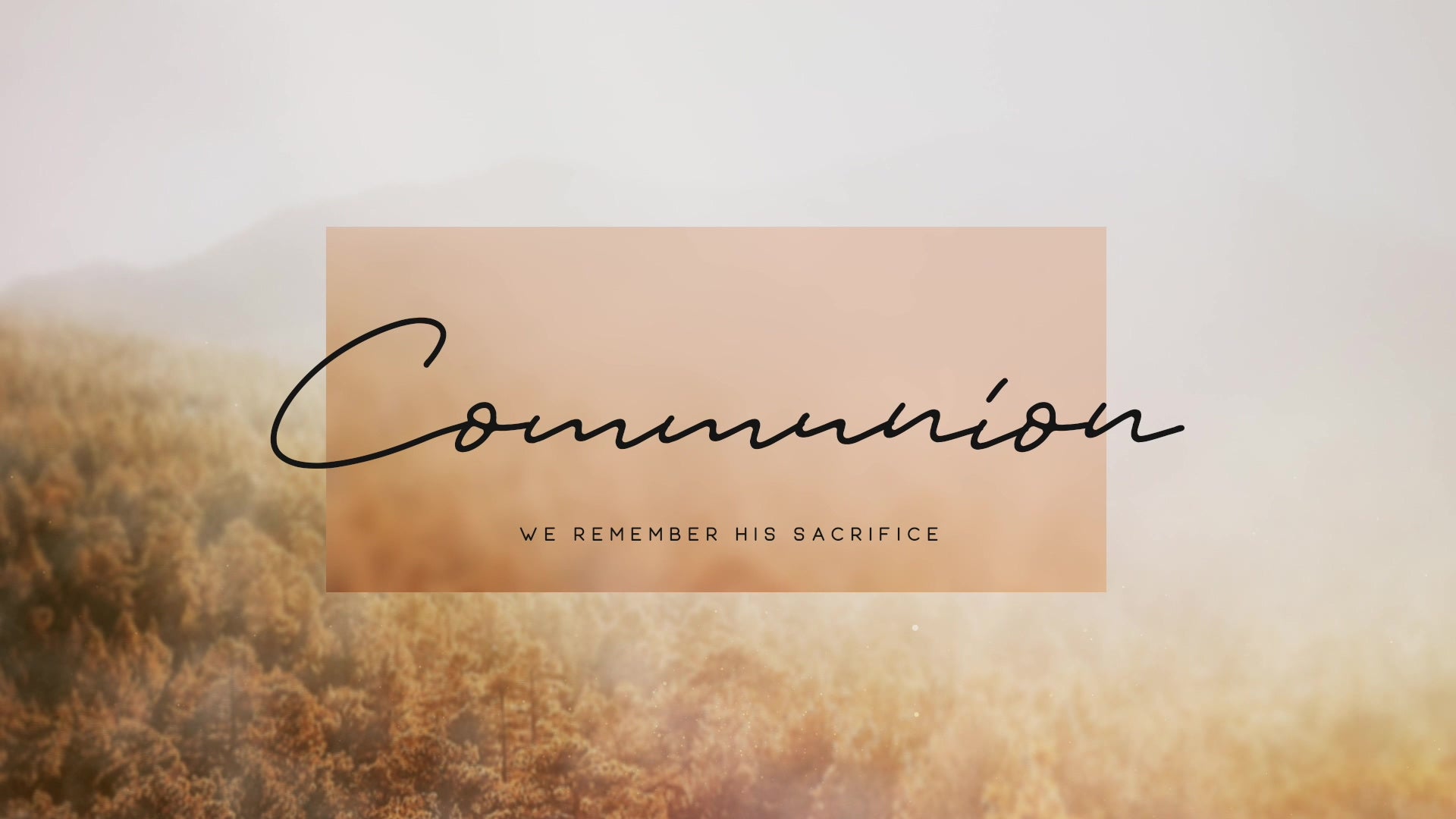 Deep Autumn Communion Motion | Shift Worship