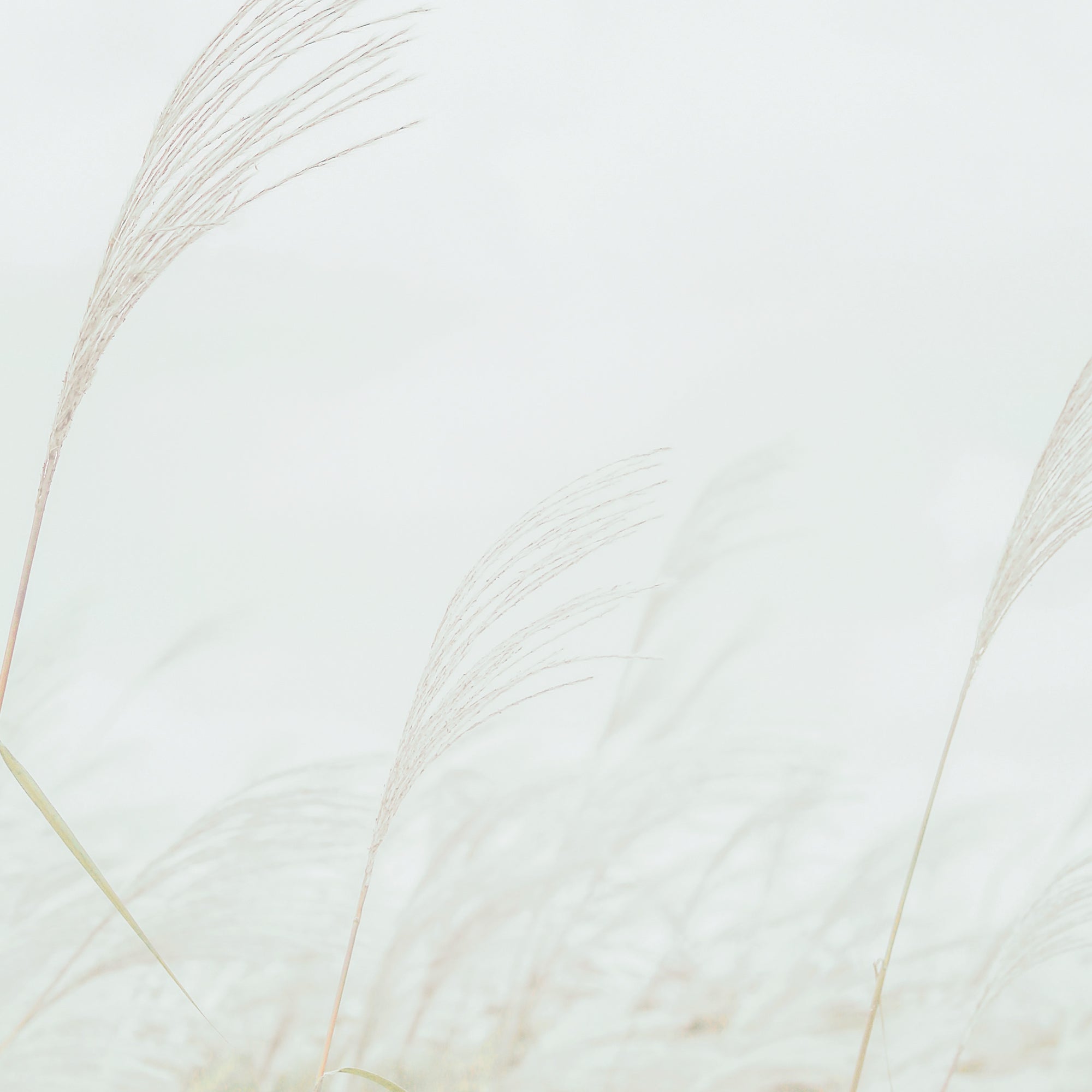 Signal Prayer Still | Shift Worship