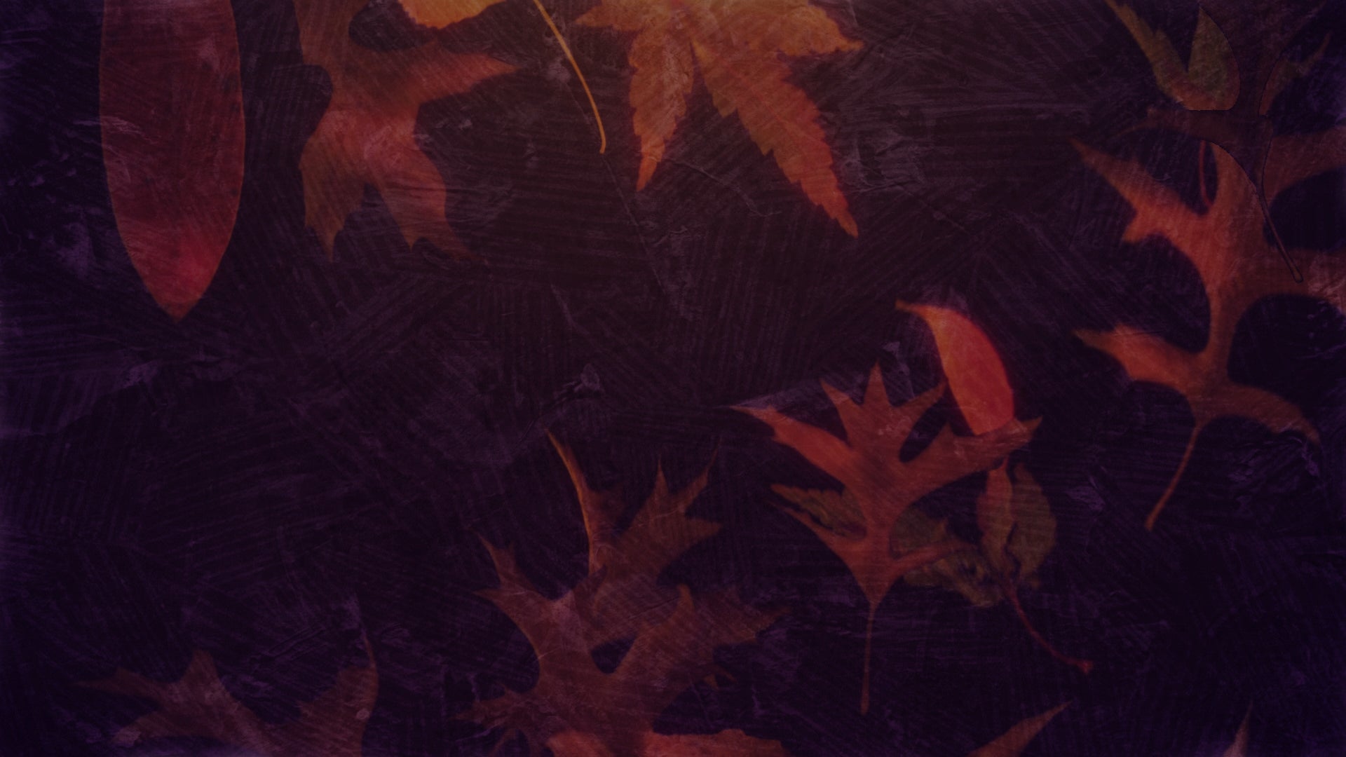 Fall Into Grace Still | Shift Worship