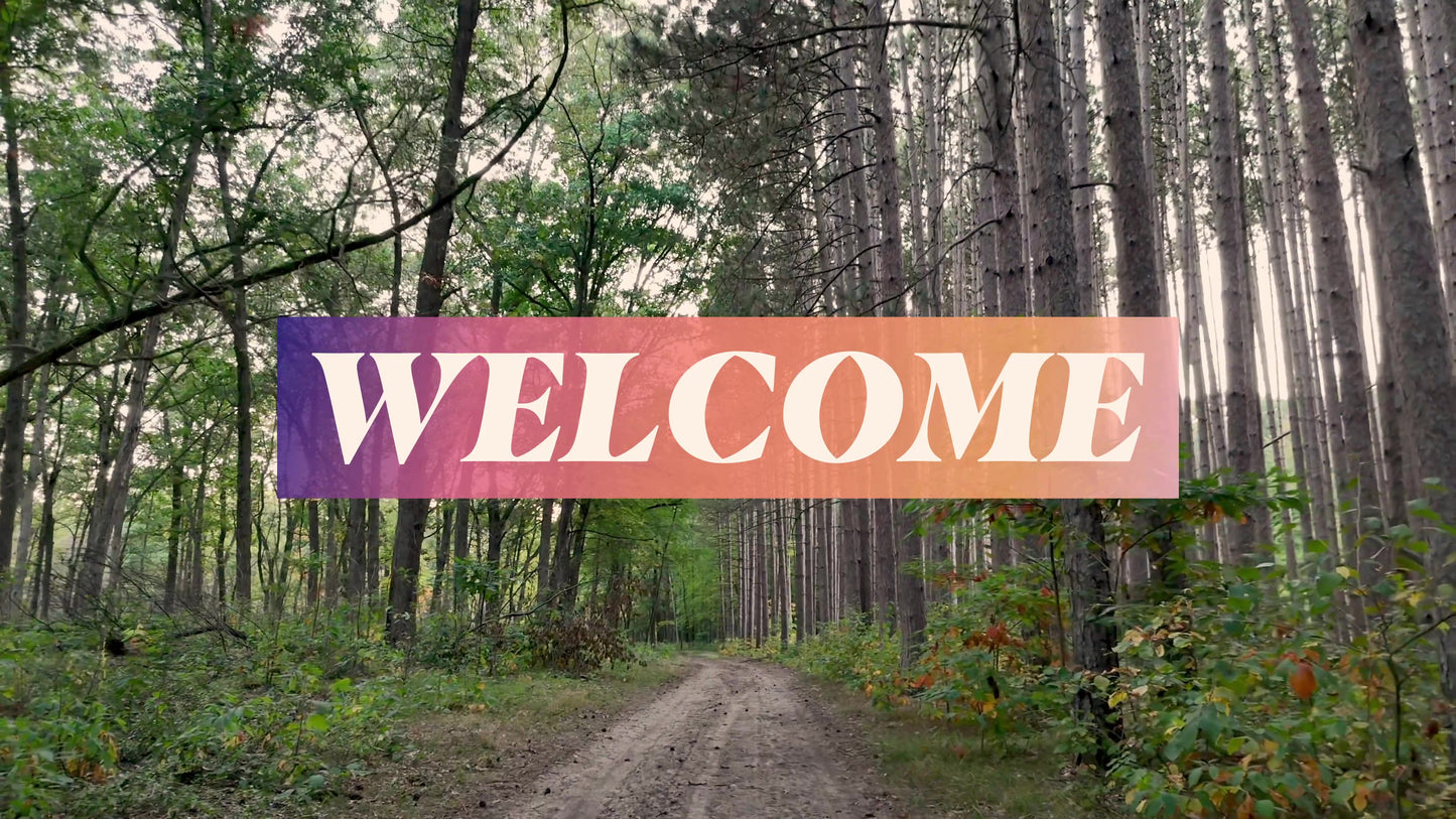 The Forest Welcome | Motion | store – Shift Worship