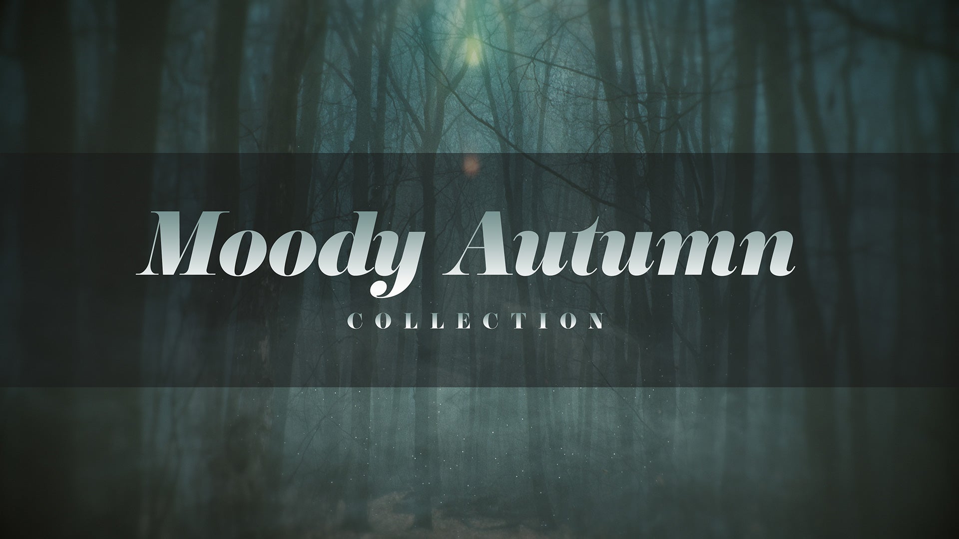 Moody Autumn Collection | Shift Worship