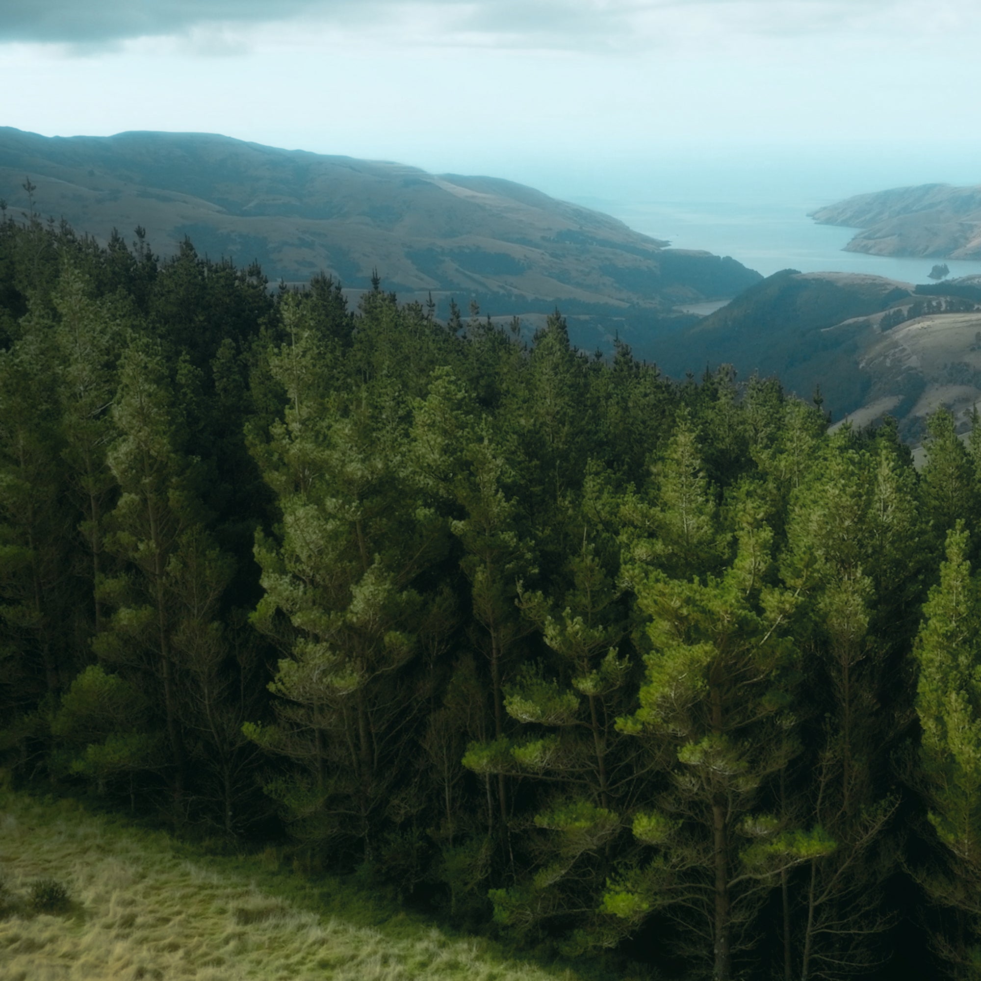 Aerial Bliss Sunday Still | Shift Worship