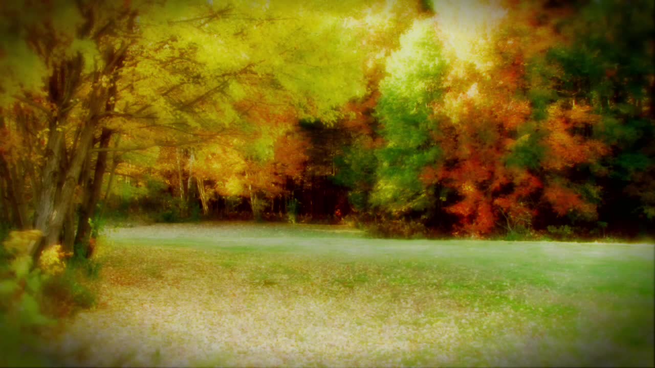 Fall Color Tree Still | Shift Worship