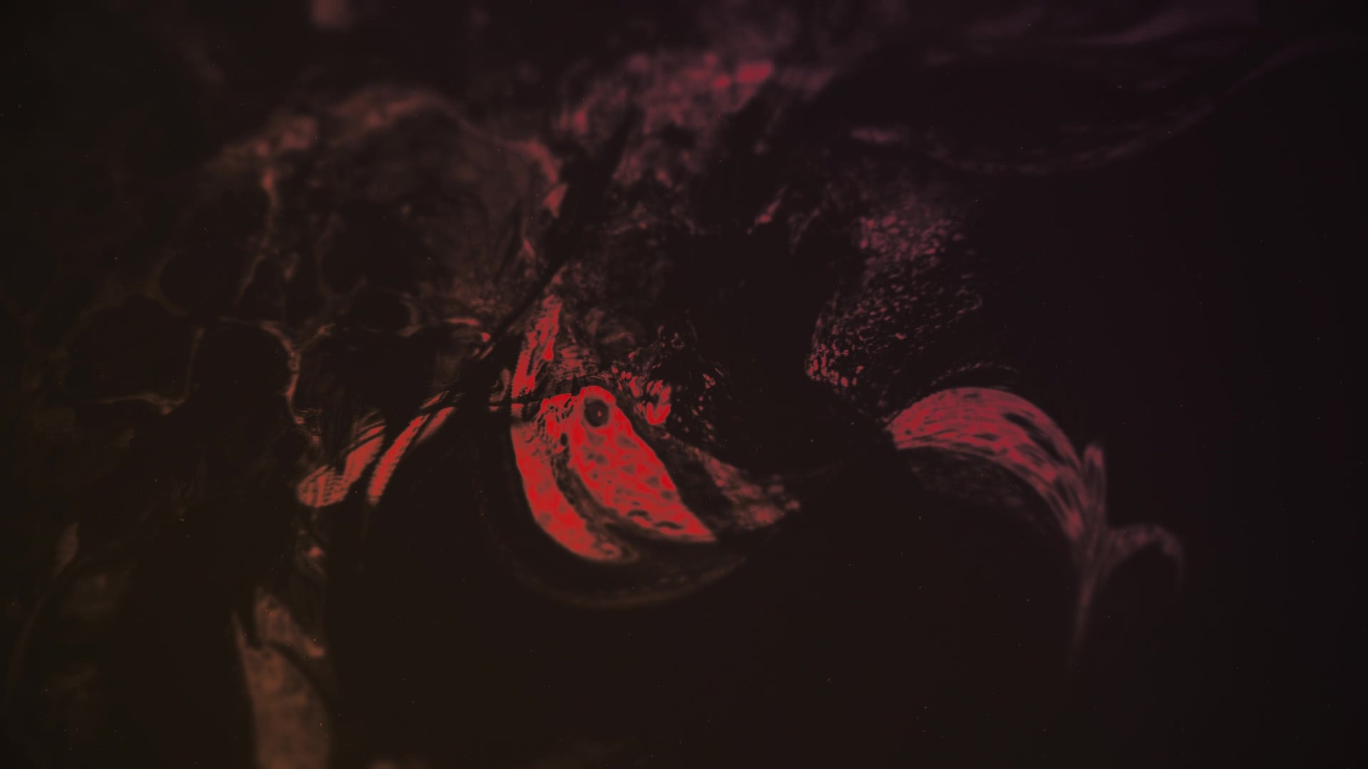 Dark Distortion 3 Color Motion | Shift Worship