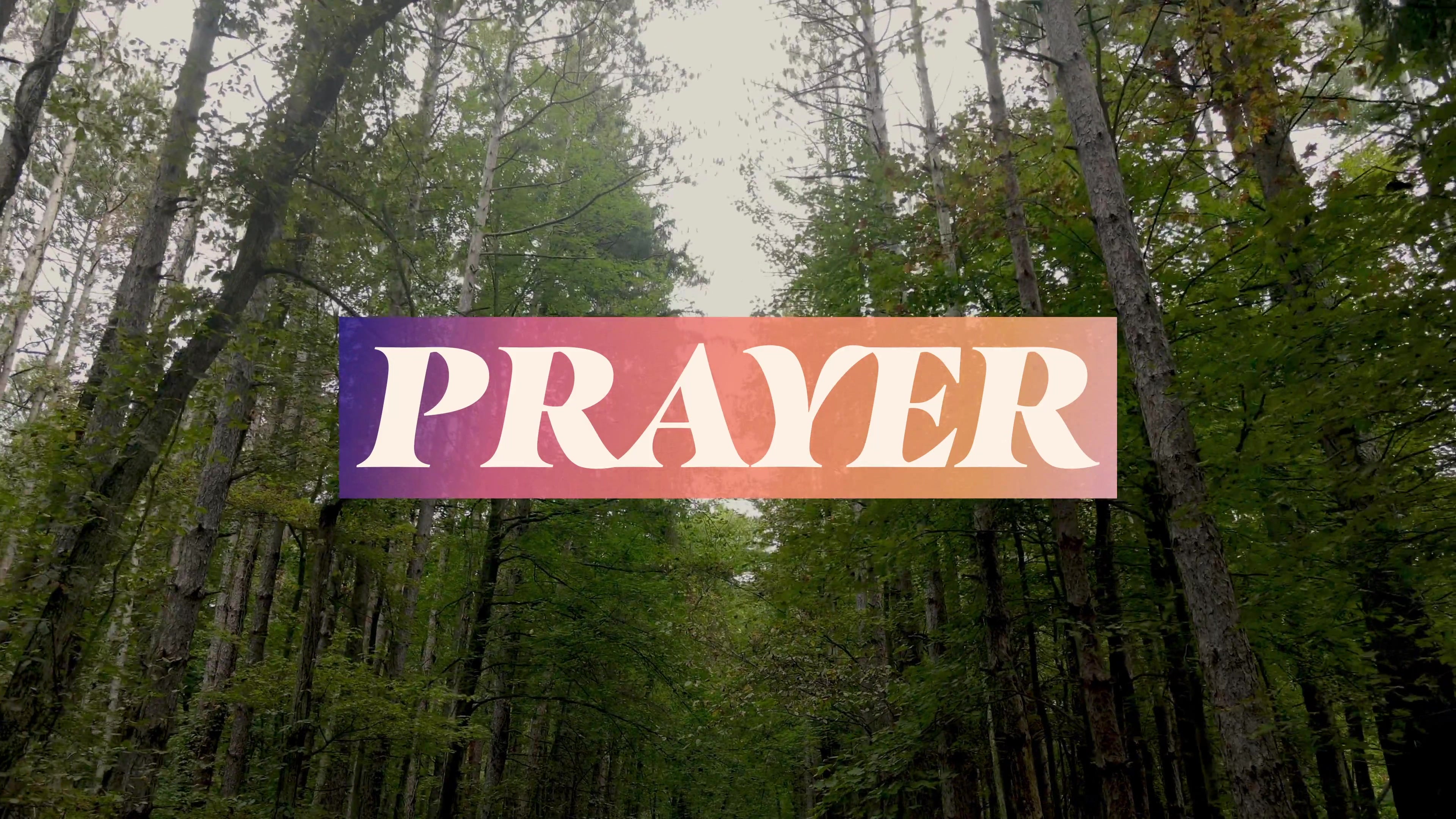 The Forest Prayer | Motion | Shift Worship