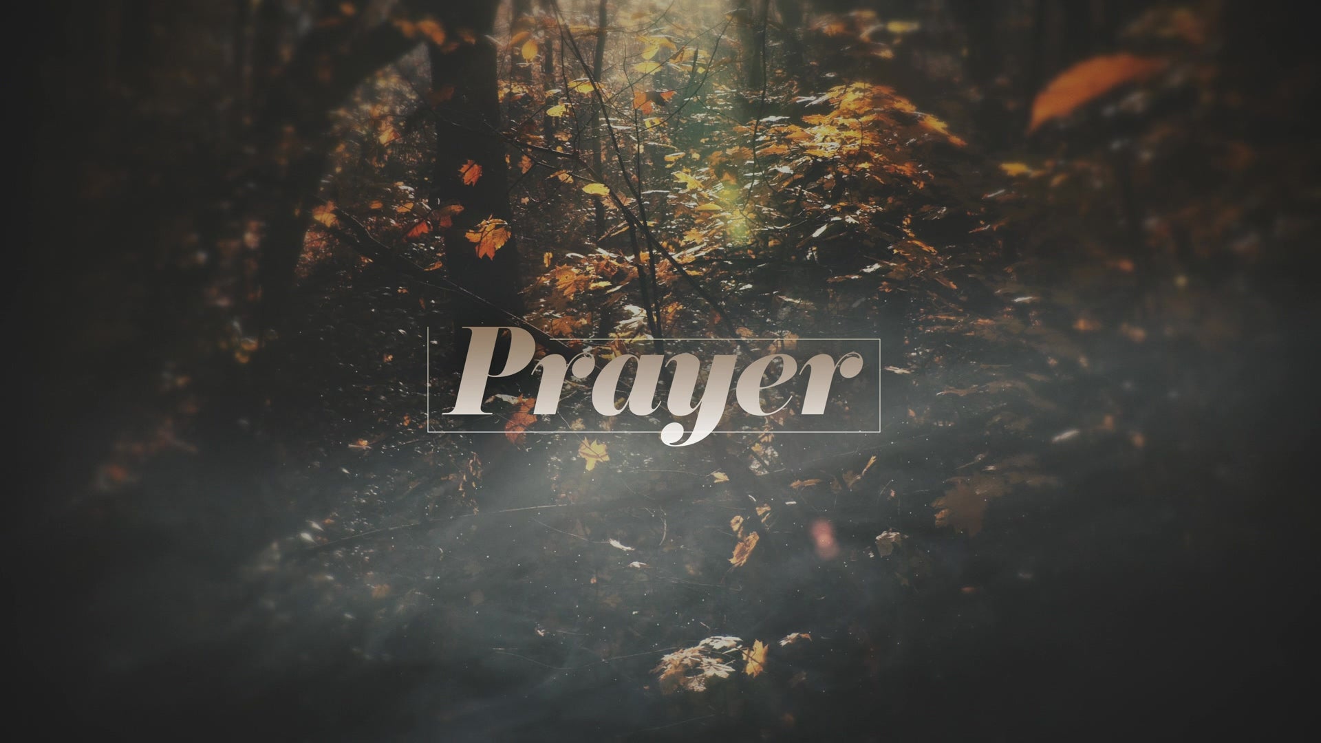 Moody Autumn Prayer Motion | Shift Worship