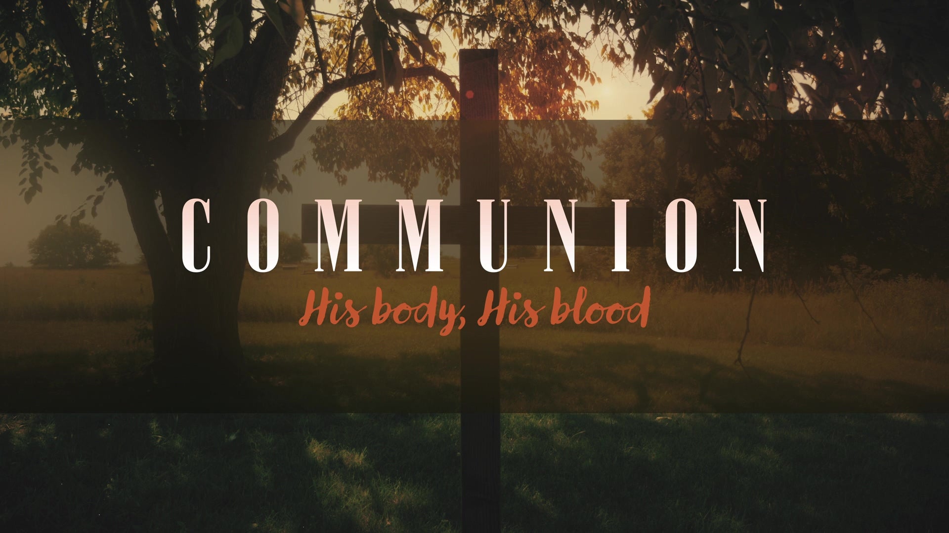 Nature Cross Communion Still | Shift Worship