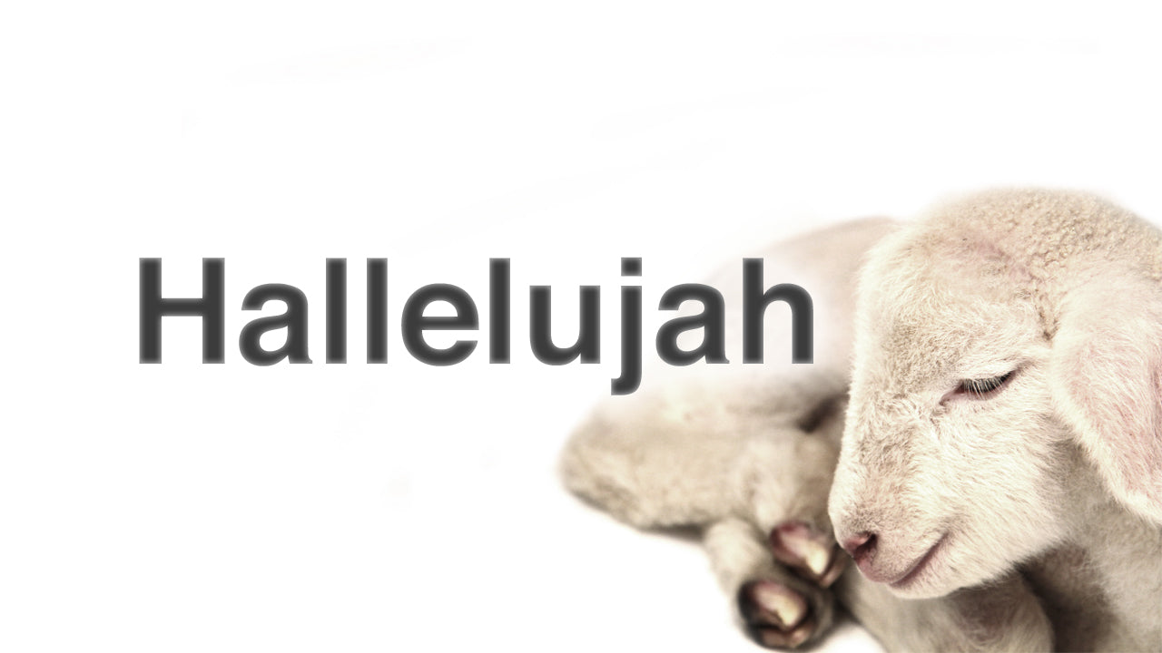 Hallelujah Lamb Still | Shift Worship