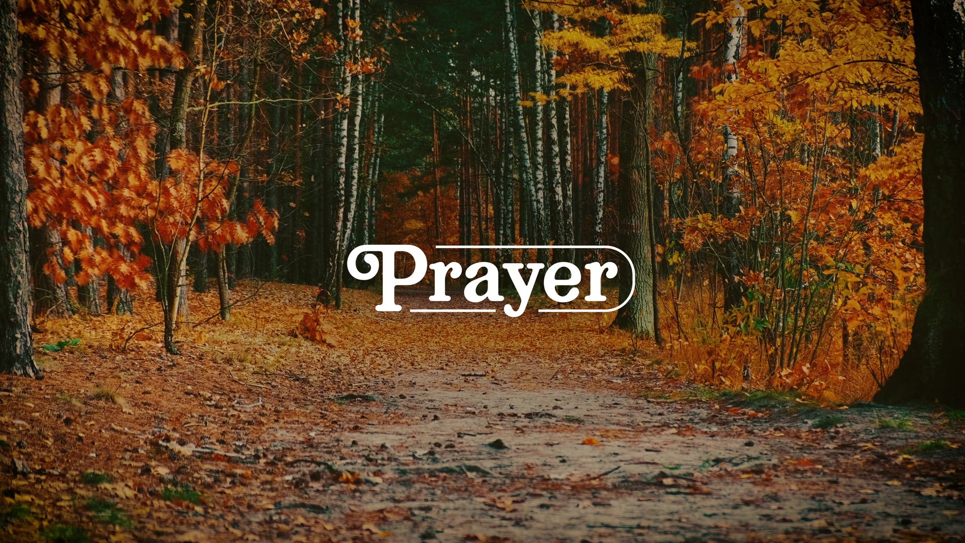 Autumn Colors Prayer Still | Shift Worship