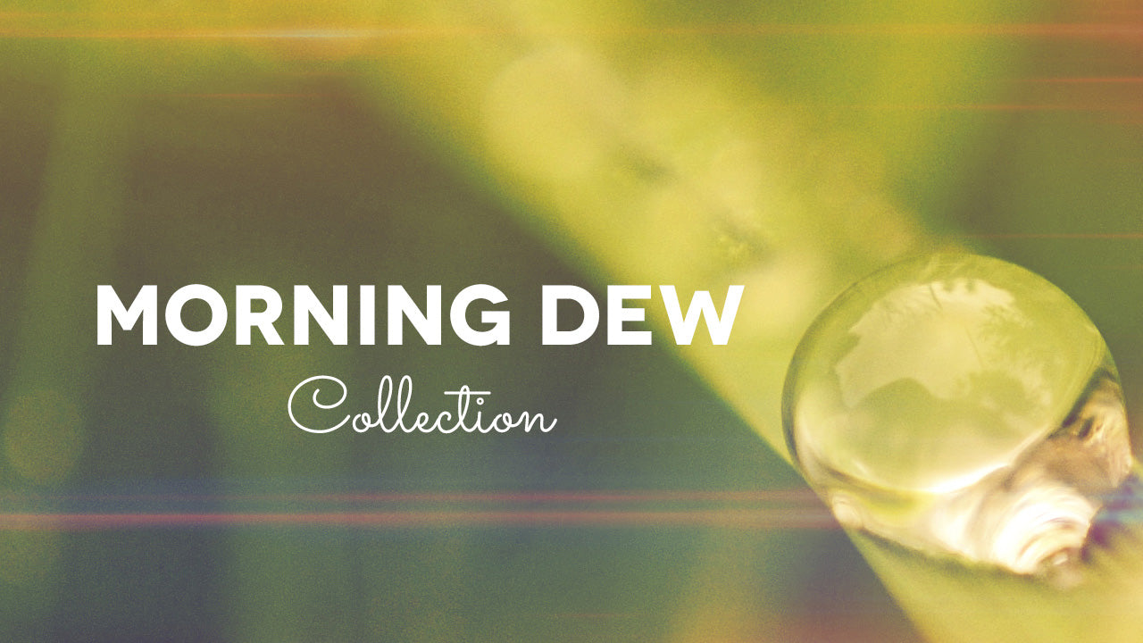 Morning Dew Collection | Shift Worship