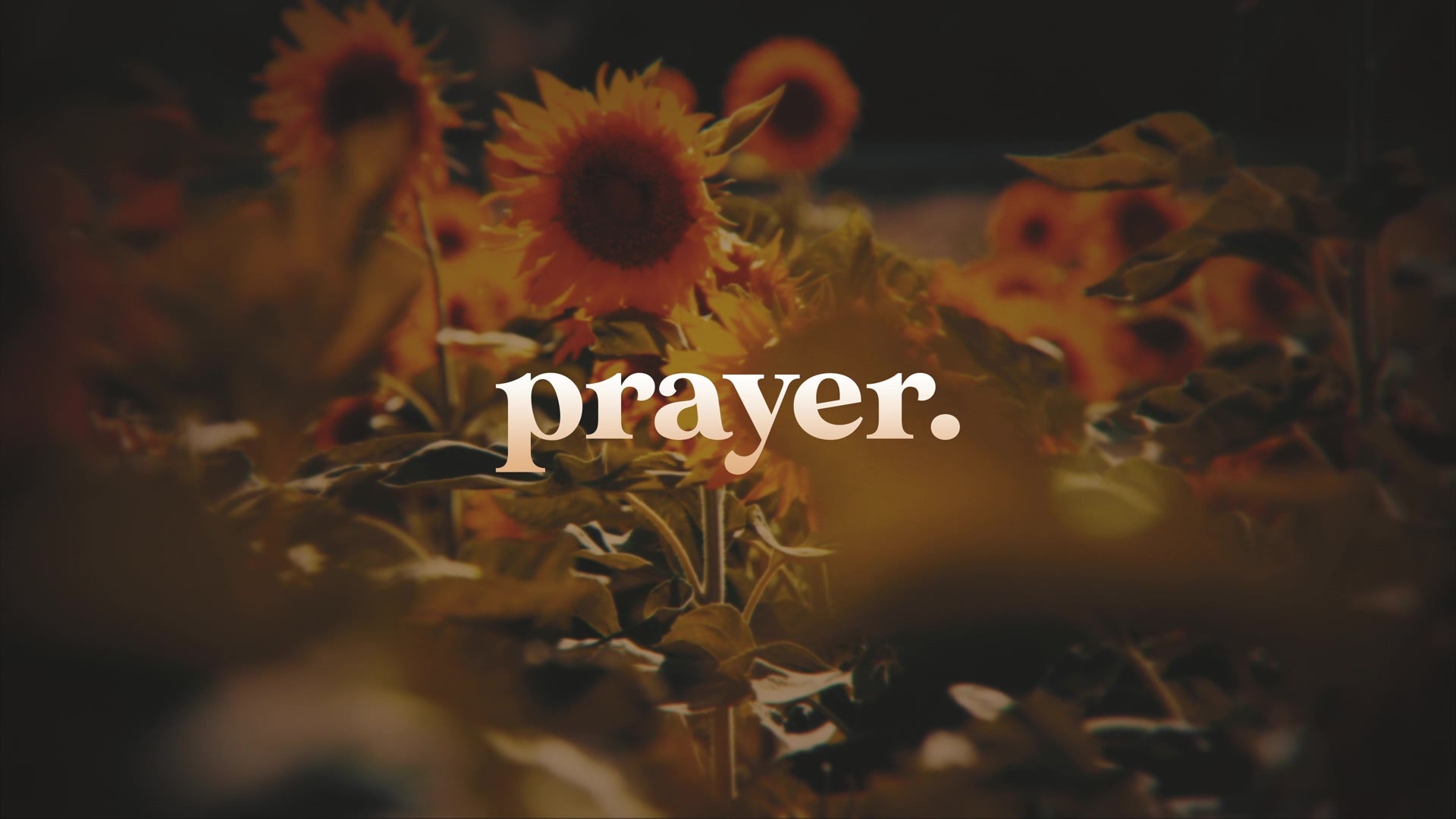 Vintage Sunflower Prayer Motion | Shift Worship