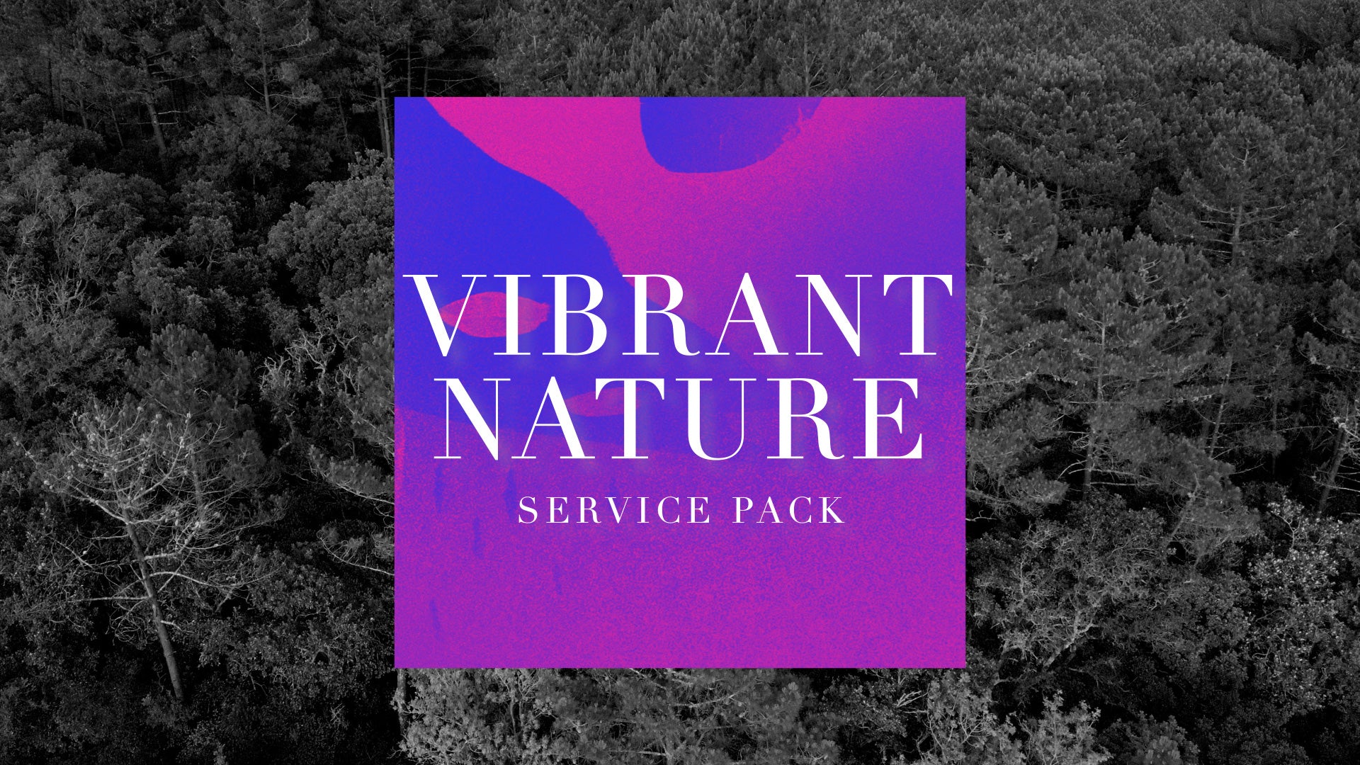 Vibrant Nature Collection | Shift Worship