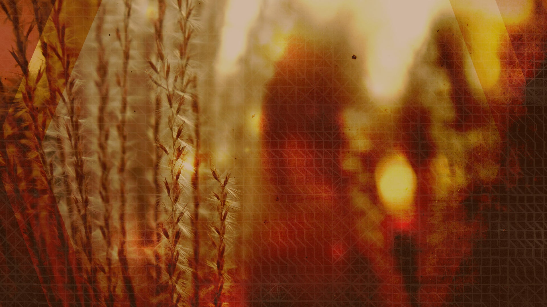 Autumn Grid Motion | Shift Worship