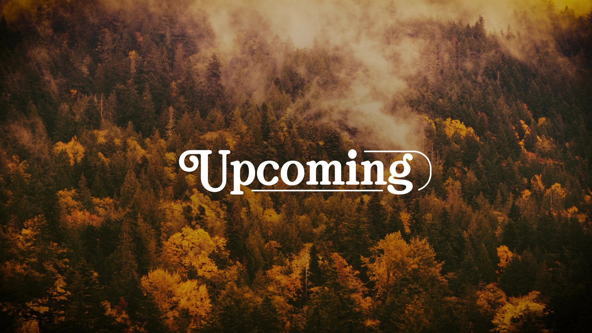 Autumn Colors Motion | Shift Worship