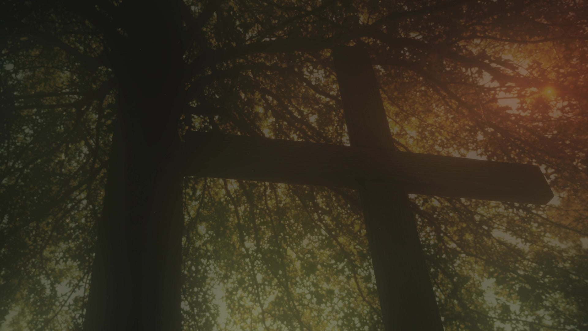 Nature Cross 12 Alt Still | Shift Worship