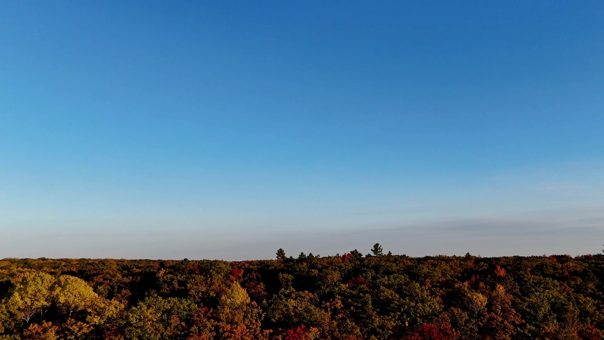 Fall Foliage 07 | Still | – Shift Worship