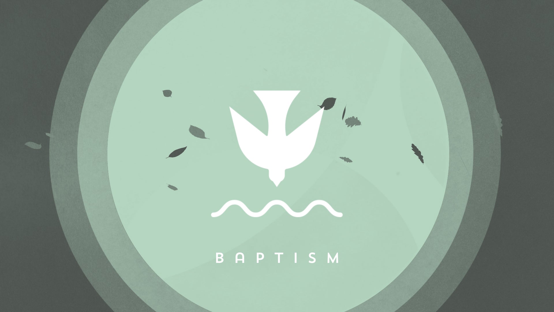 Autumn Breeze Baptism Still | Shift Worship