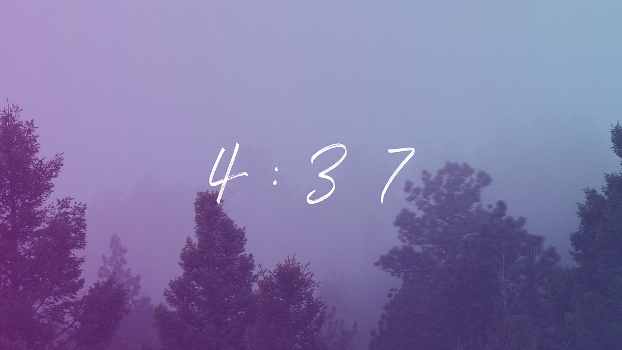 Misty Forest Countdown Video | Shift Worship