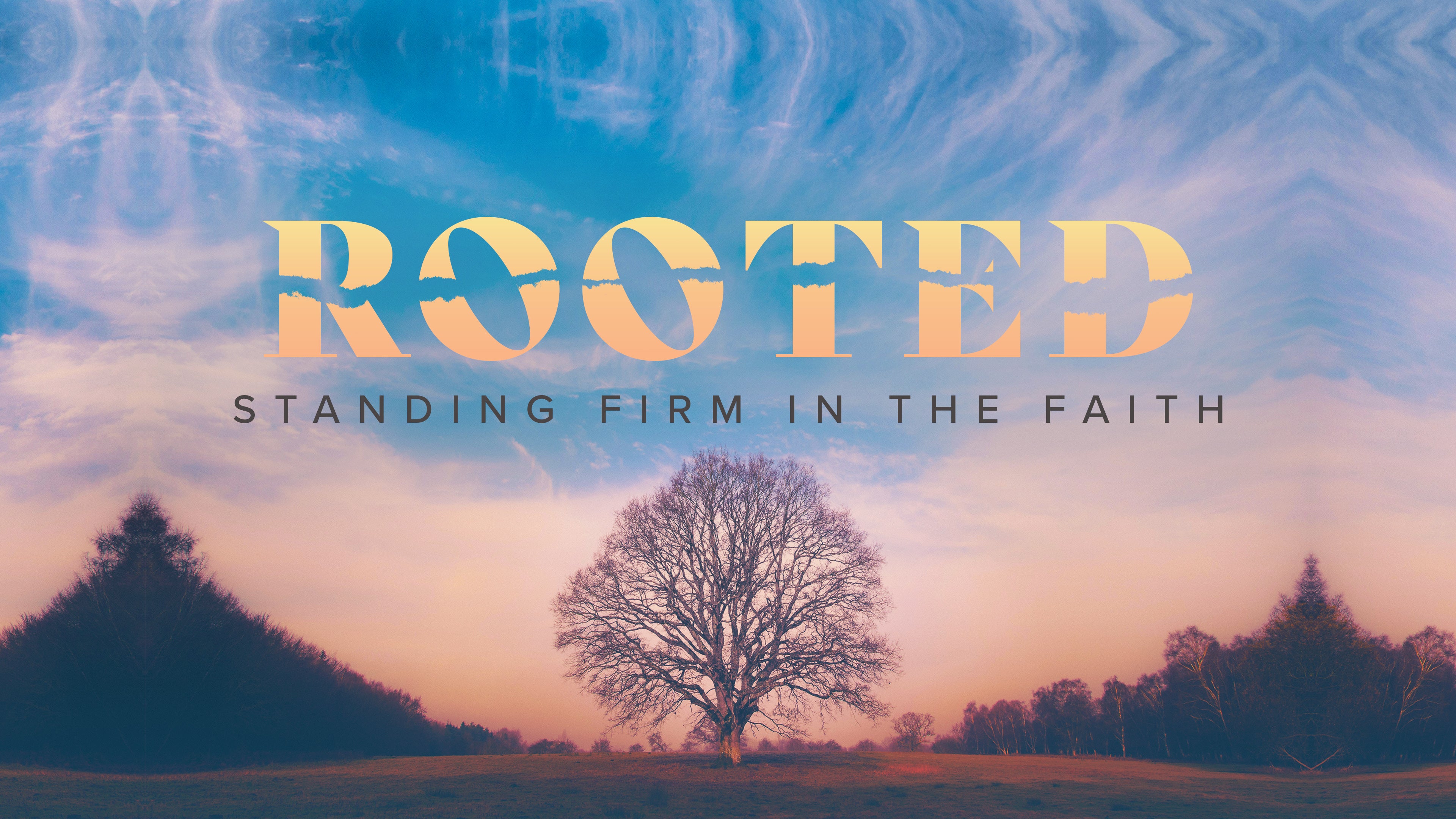 Rooted Sermon Still | Shift Worship
