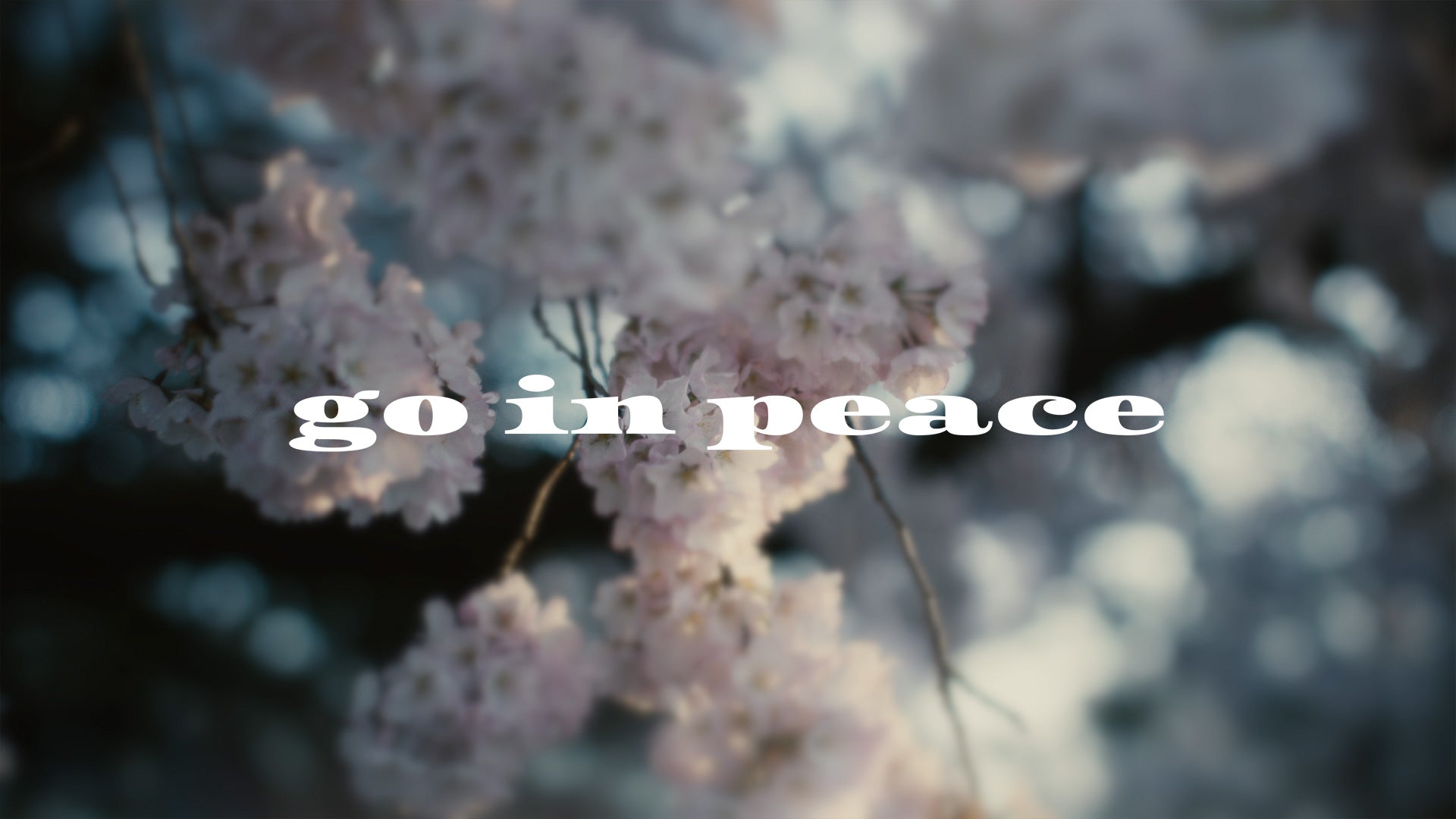 Muted Spring AE Motion | Shift Worship