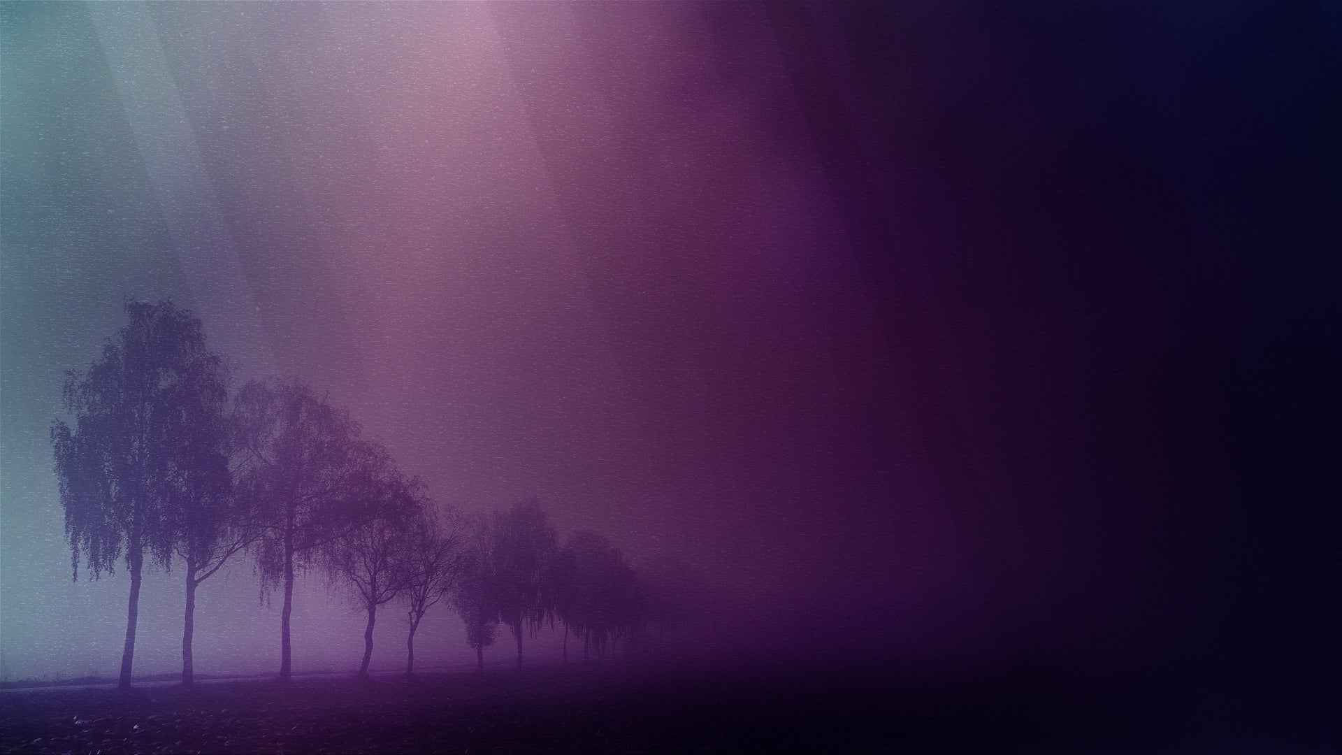 Autumn Mist 4 Still | Shift Worship