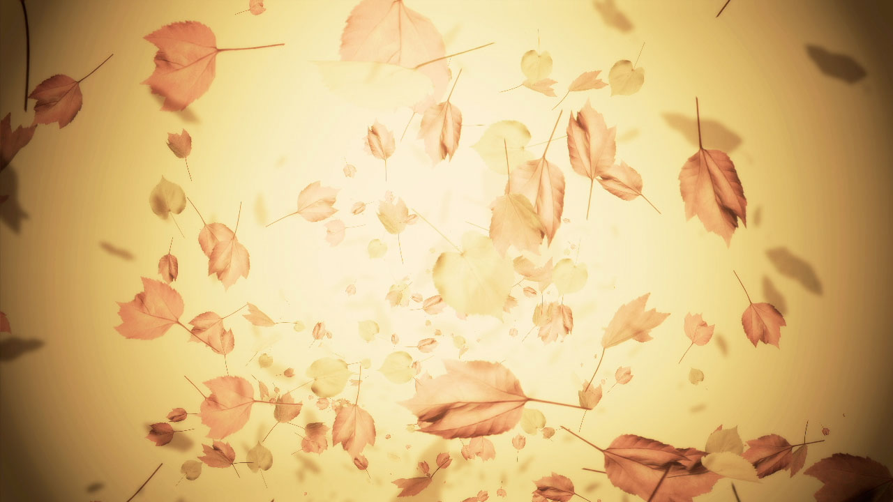 Leaves Falling Motion | Shift Worship