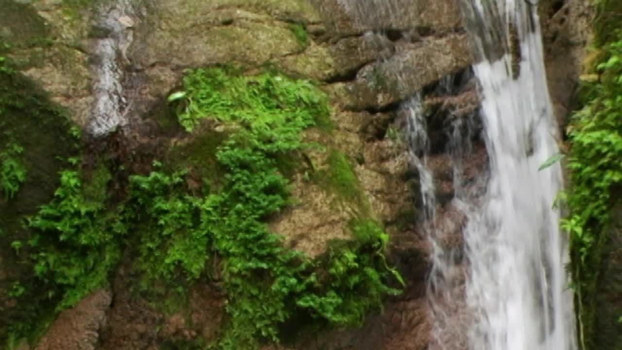 Jungle Waterfall Motion | Shift Worship