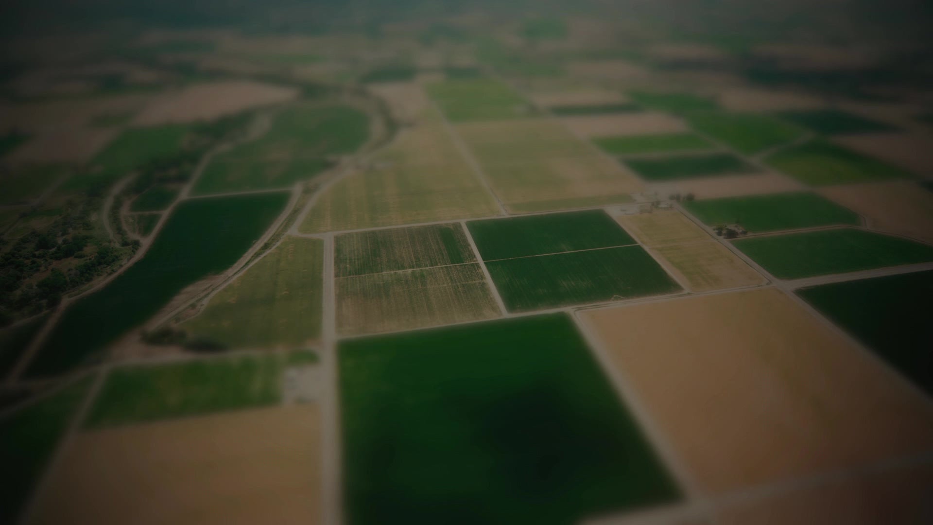 Open Fields Patchwork Motion | Shift Worship