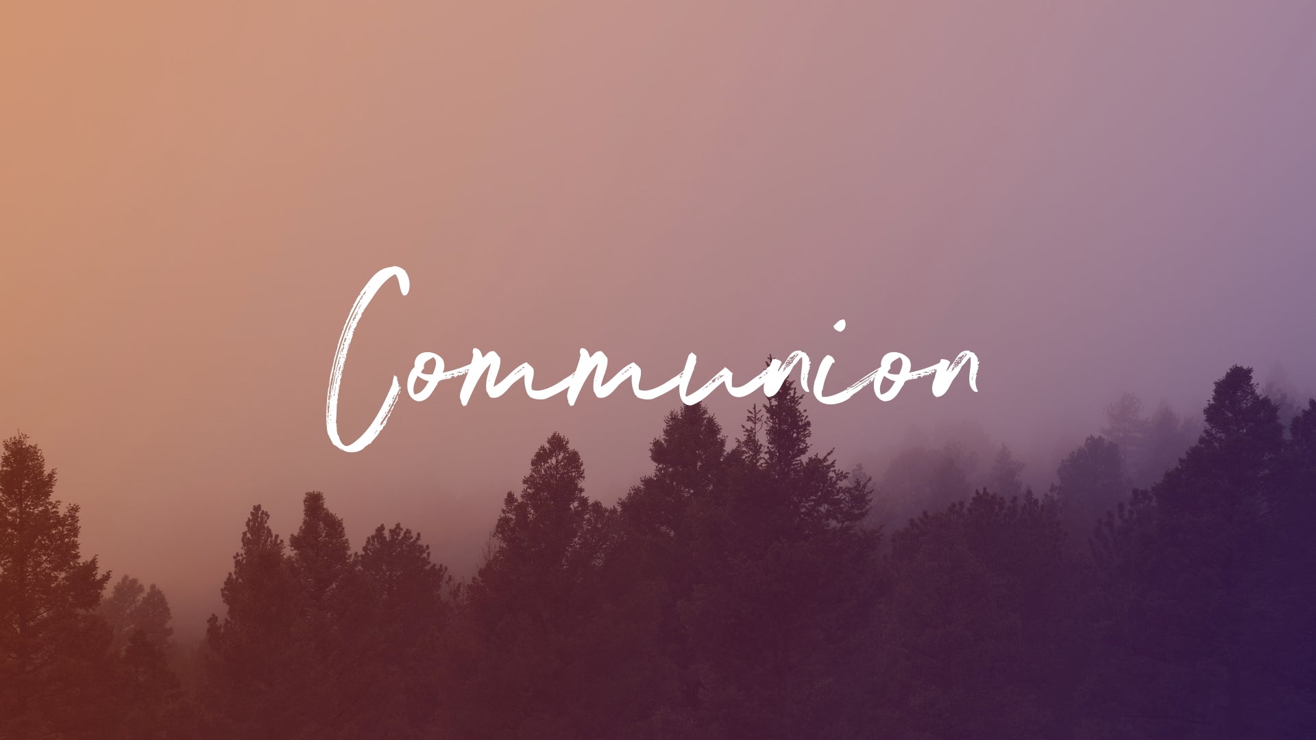 Misty Forest Communion Motion | Shift Worship